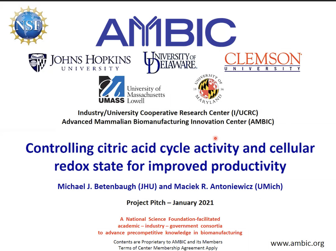 2020-26: Controlling Citric Acid Cycle Activity and Cellular Redox ...